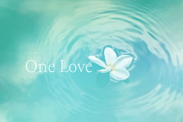 Mystery Tour, One Love – Earth Walker Spirit